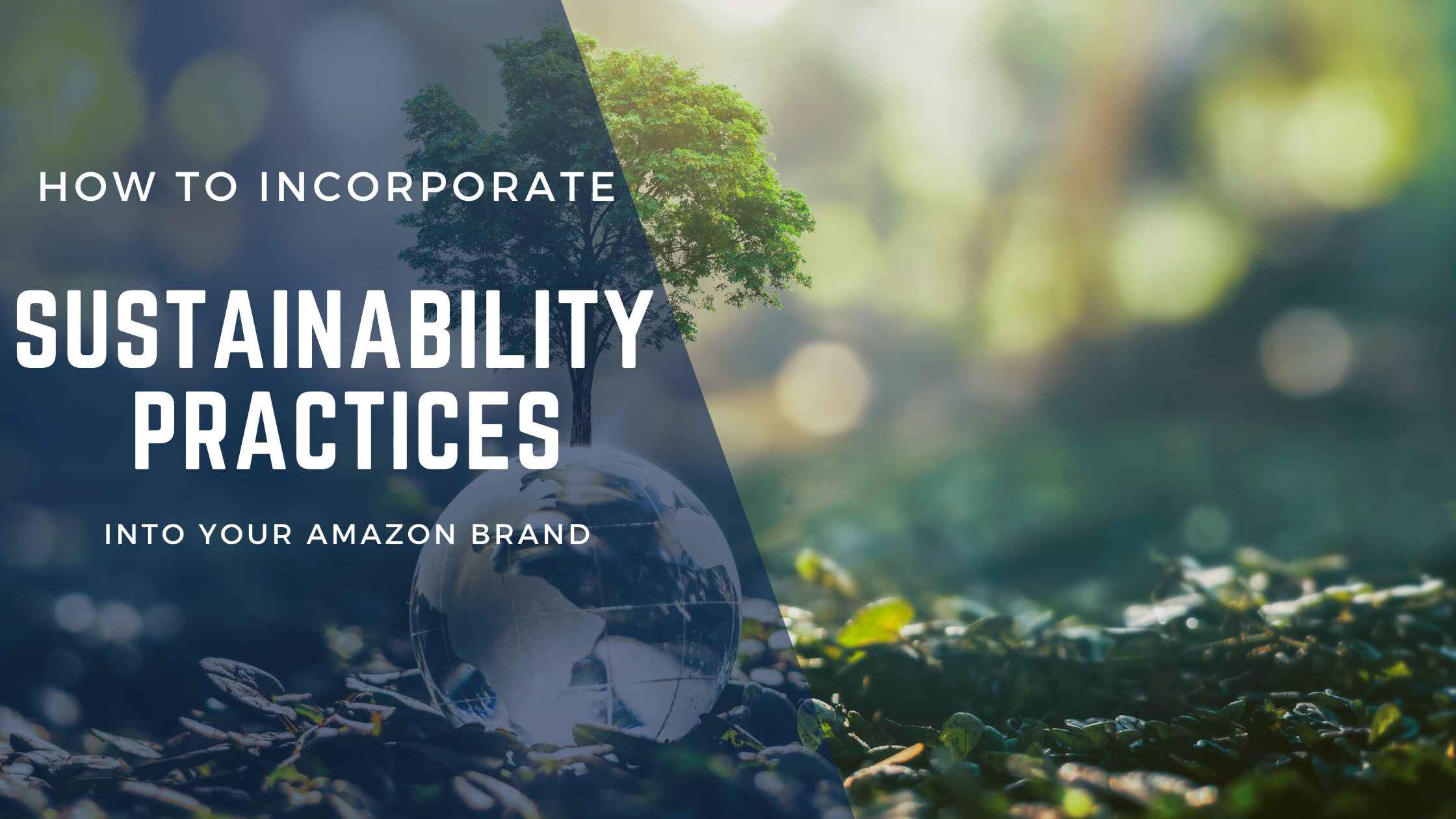 How to Incorporate Sustainability Practices into Your Amazon Brand ...