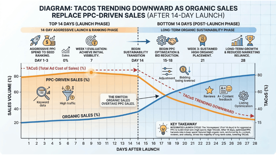 How to Plan a 14-Day Amazon Product Launch Plan for Organic Rank - Aman ...
